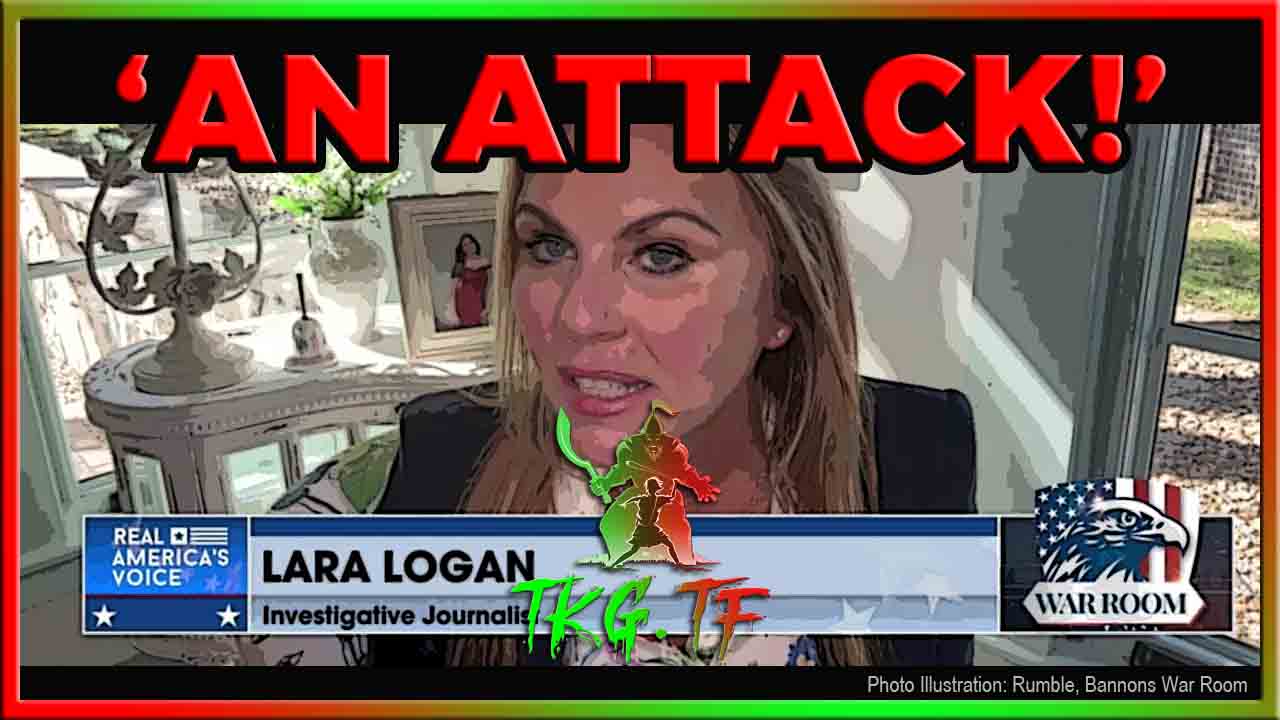 🚨Lara Logan On The Francis Scott Key Bridge: ‘It Is A Financial ...